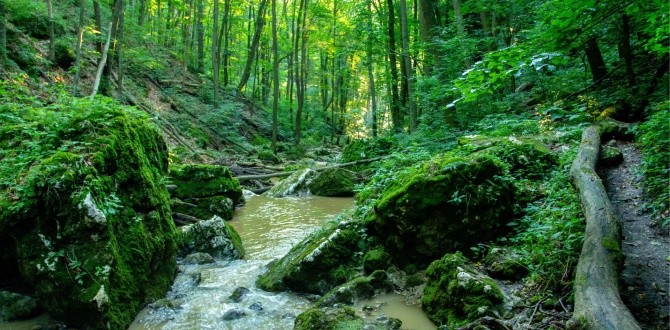 Magyarország Közép-Dunántúl | 2020 legjobb utazási ajánlatai egy helyen ...